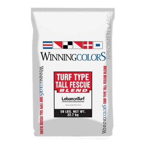 Lebanon Turf Winning Colors Tall Fescue Blend Grass Seed | Arco Lawn ...