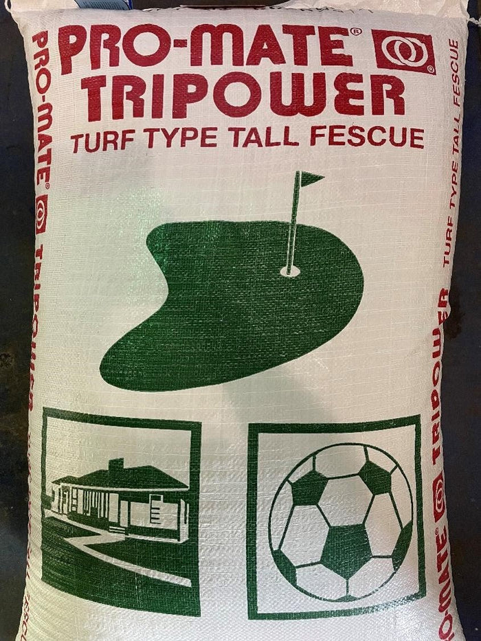 Misc Tri-Power Tall Fescue Grass Seed | Arco Lawn Equipment